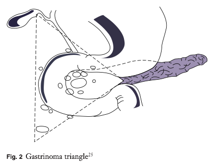 Hospitalist ~なんでも無い科医の勉強ノート~: 高ガストリン血症 Hypergastrinemia