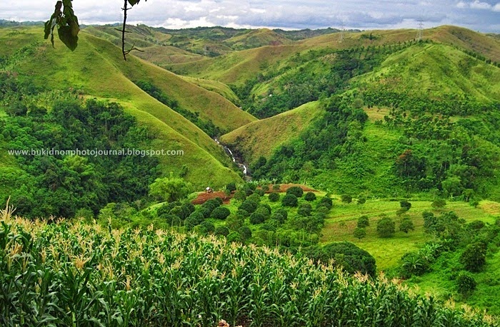 Bukidnon Photo Journal: October 2014