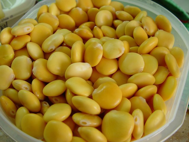 TREMOÇOS ~ Dicas & Poupança