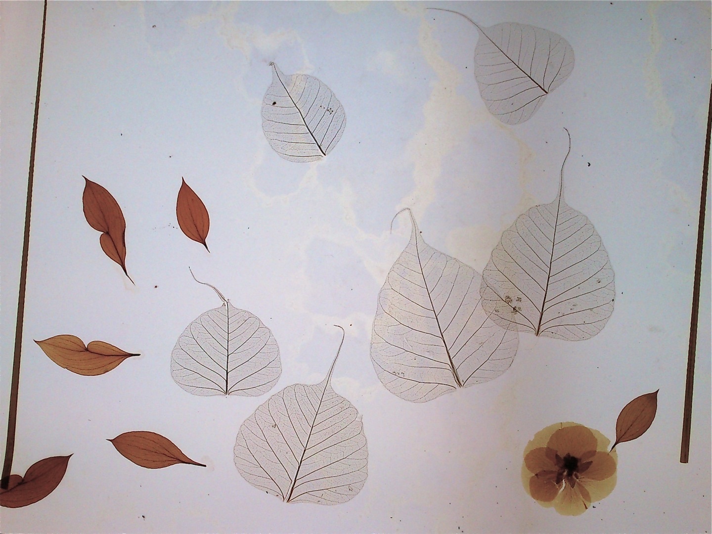 地中海の街から、色いろなお話: MAURI, una pastelería emblemática en el corazón del ...