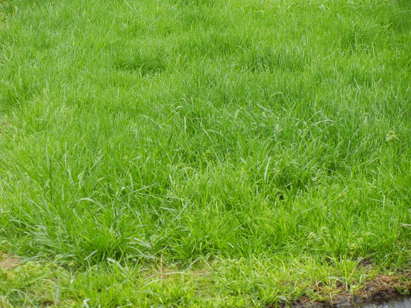 Main Street House: April 2011