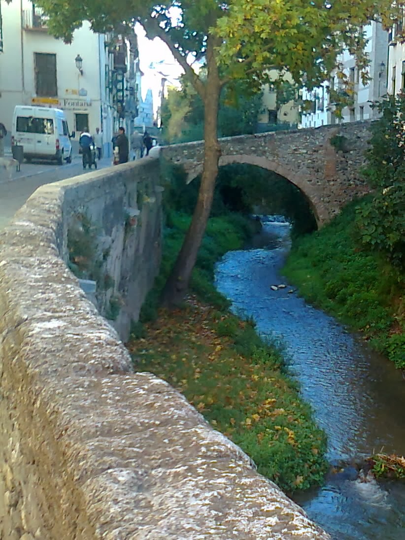 LA ODISEA DE LOS DÍAS: EL RÍO GENIL EN GRANADA