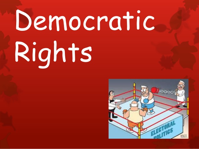 NCERT Solutions Class 9th Civics: Chp 6 Democratic Rights - Padheye.com ...