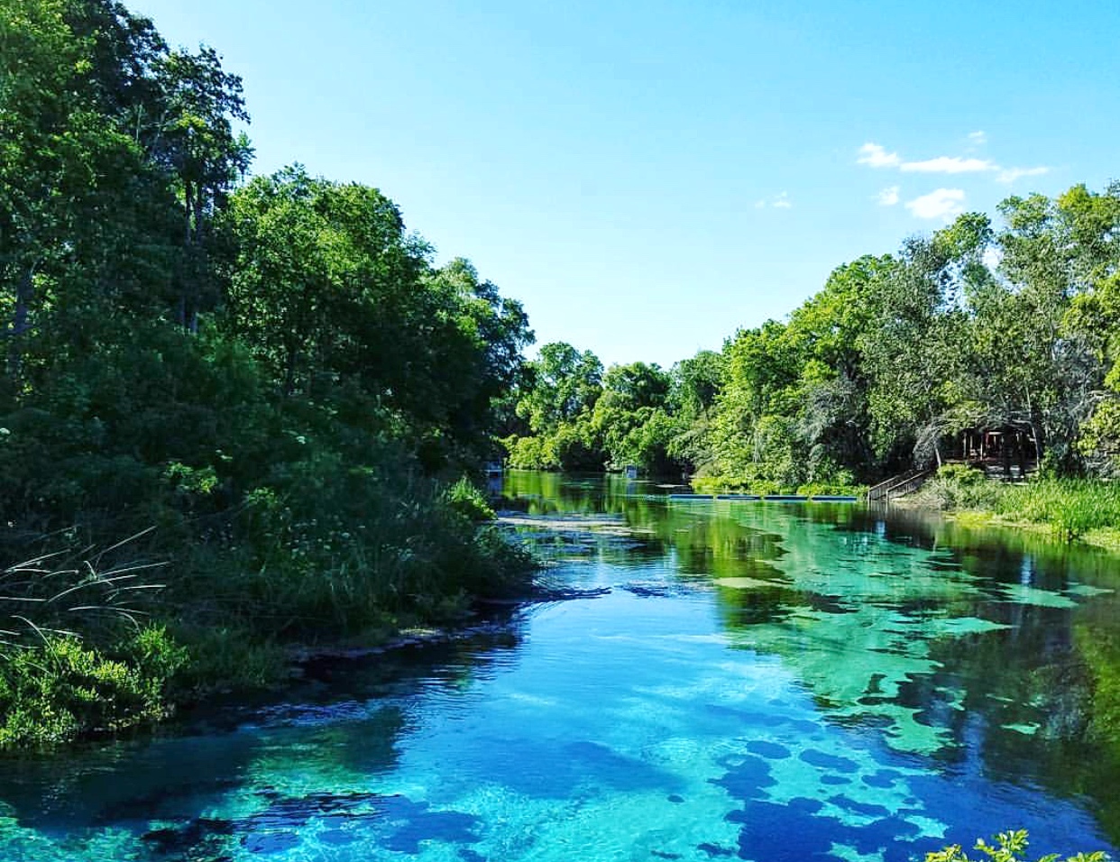 Weeki Wachee Springs