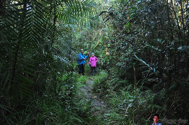 Mount Murud Exploration - Summit The Mount Murud, Highest Mountain in ...