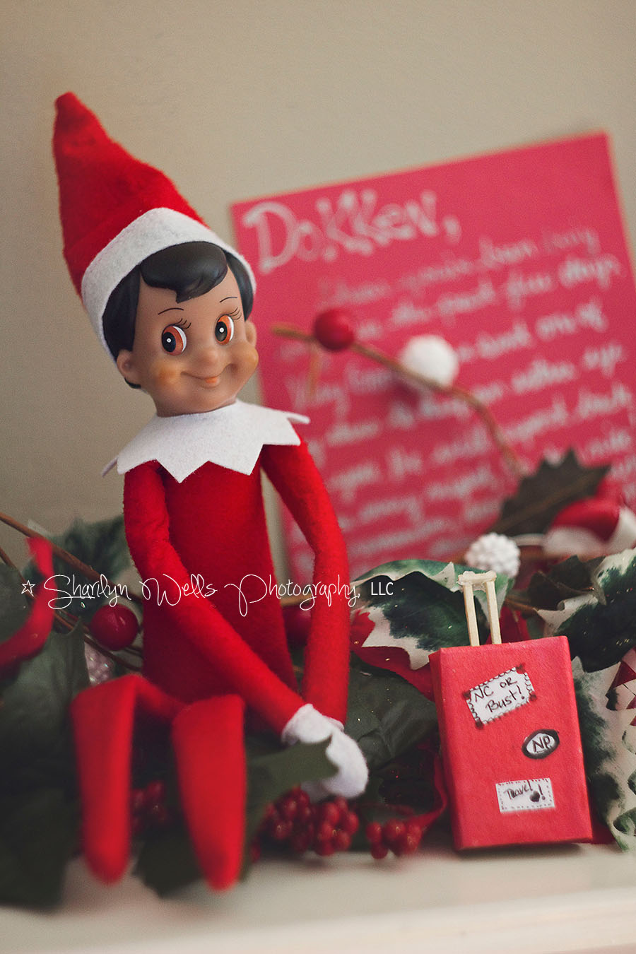 Sharilyn Wells Photography: Raheem | Elf on the Shelf | Fayetteville ...