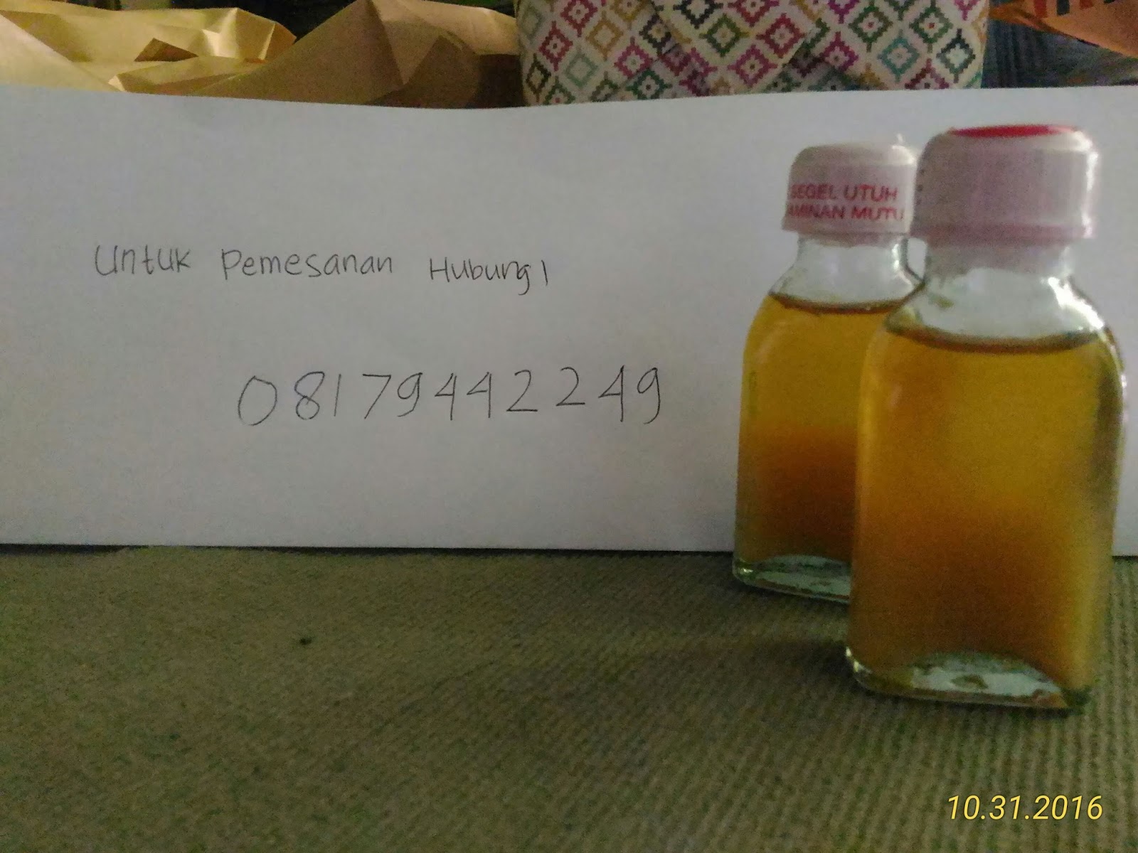 Cara pembuatan minyak bulus, kenali ciri-ciri minyak bulus asli ...