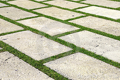 Design Rumah Idaman: Kombinasi Paving Block Dengan Rumput Untuk Halaman ...