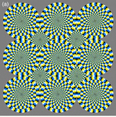 Southern Synergy: 12 Mind-Bending Perceptual Illusions