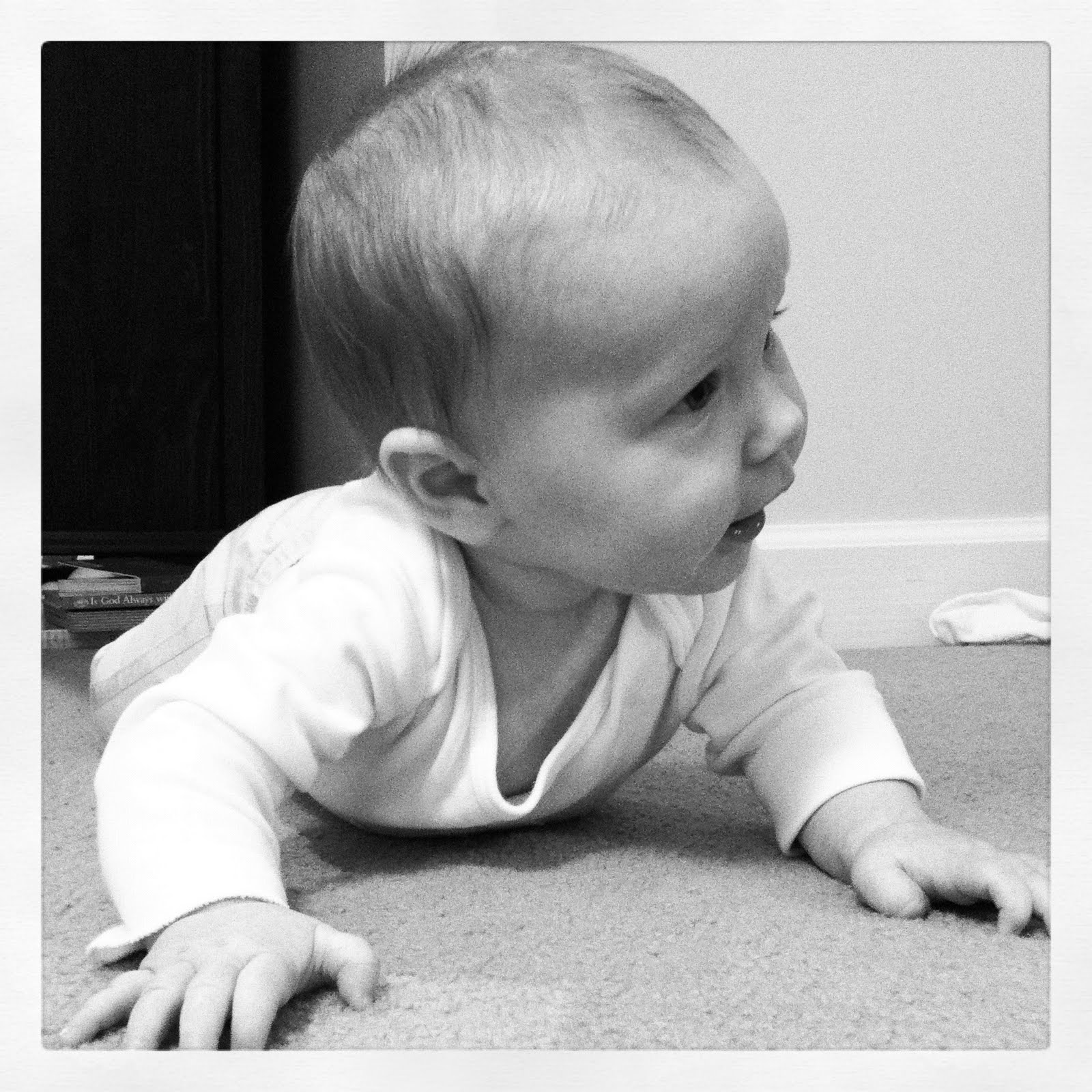 The Chicago Livingstons: All the in between