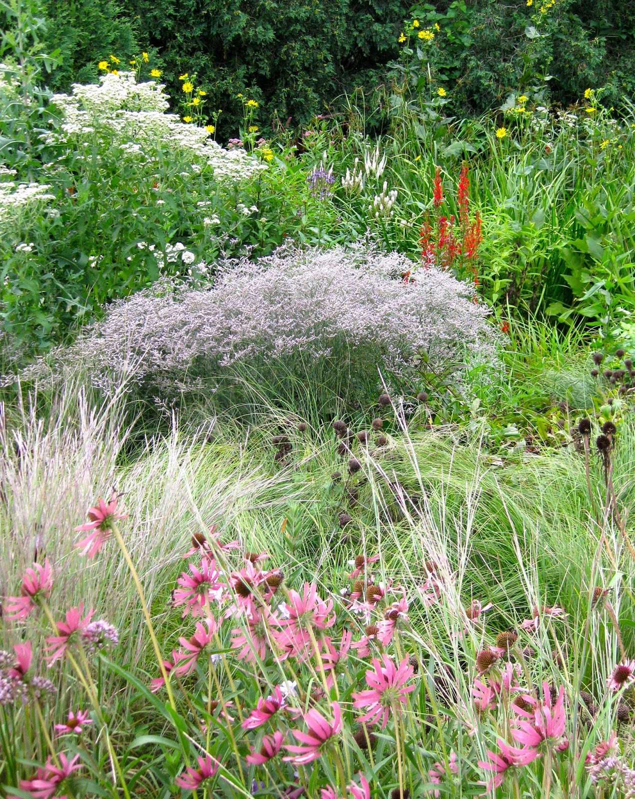 Think Global, Garden Local: Gravel garden at the Olbrich