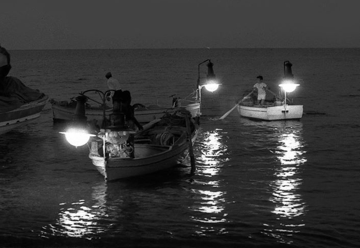 Tra Fiume e Trieste: La pesca delle sardine nell'alto Adriatico