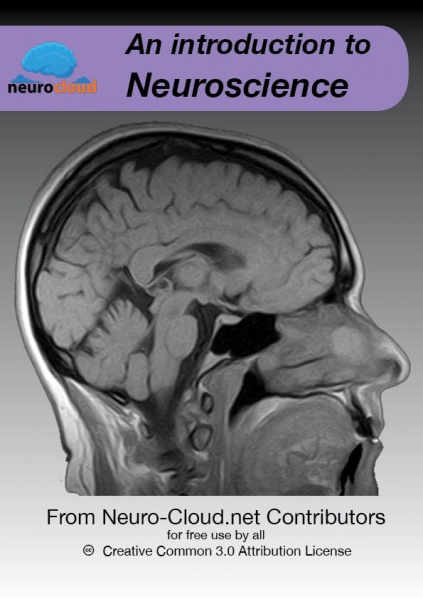 OER: Neuro-Cloud: a new model of textbooks | Brainstorm in Progress
