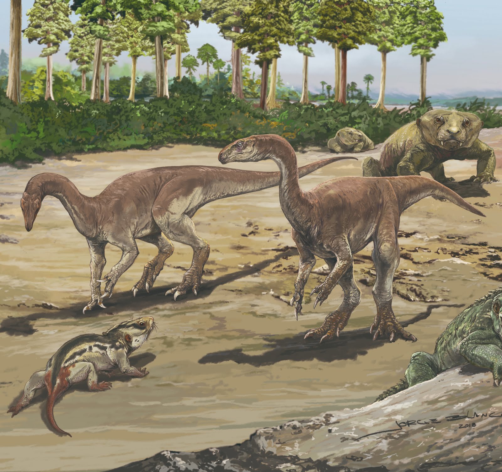 Species New to Science: [Paleontology • 2018] Bagualosaurus agudoensis ...