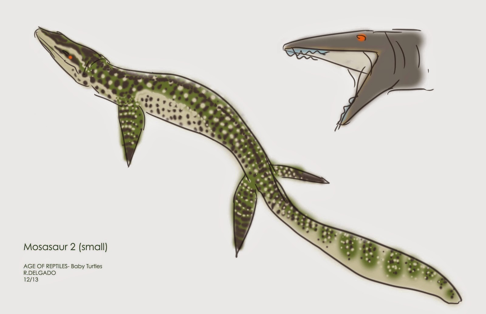 Ricardo Delgado's blog: Age of Reptiles- Baby Turtles: Small Mosasaur ...