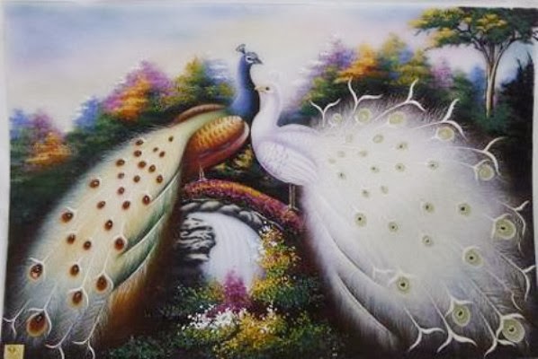 Lông chim công có ý nghĩa gì trong phong thủy - TỪ TẾ HỘI