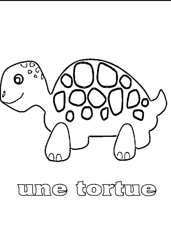 des pages à colorier ( les reptiles )