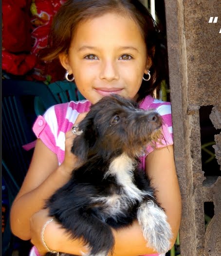 White Wolf : Venezuelan Rescue Team Helps Thousands of Dogs and Cats ...