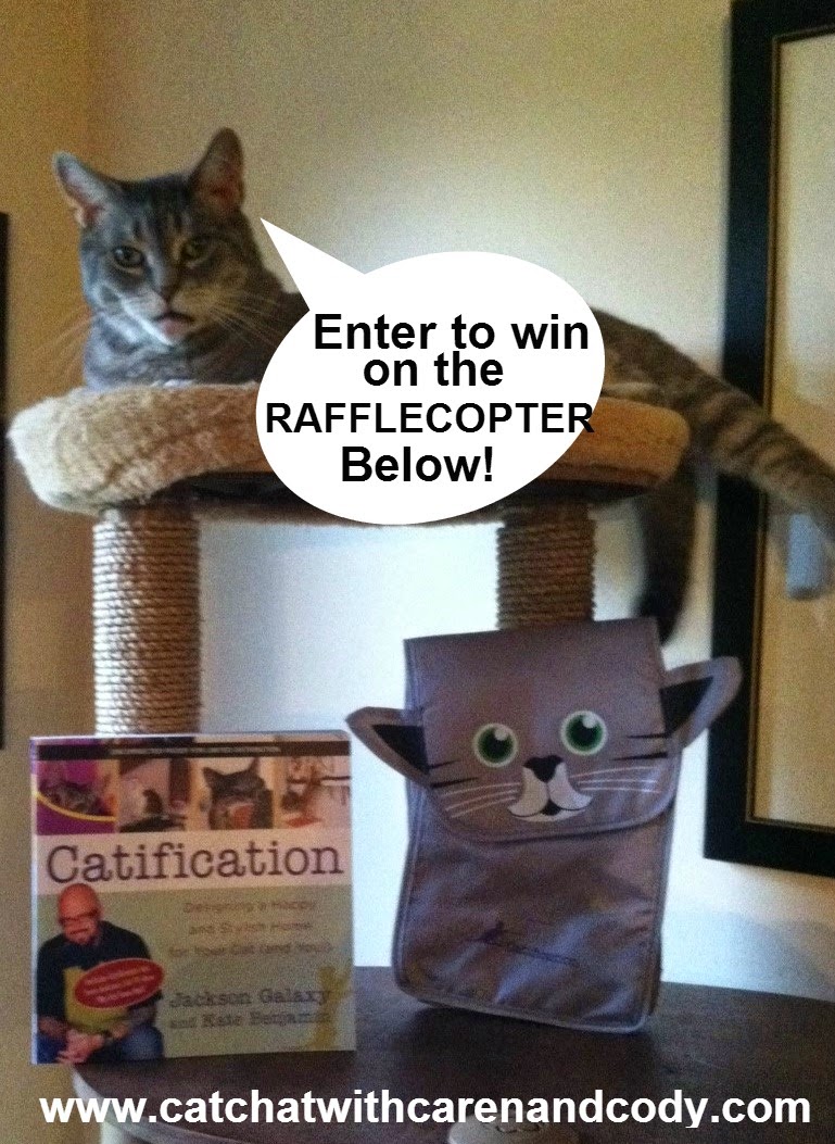 Cat and DOG Chat With Caren: Get "CATIFIED!" Enter to win Catification ...