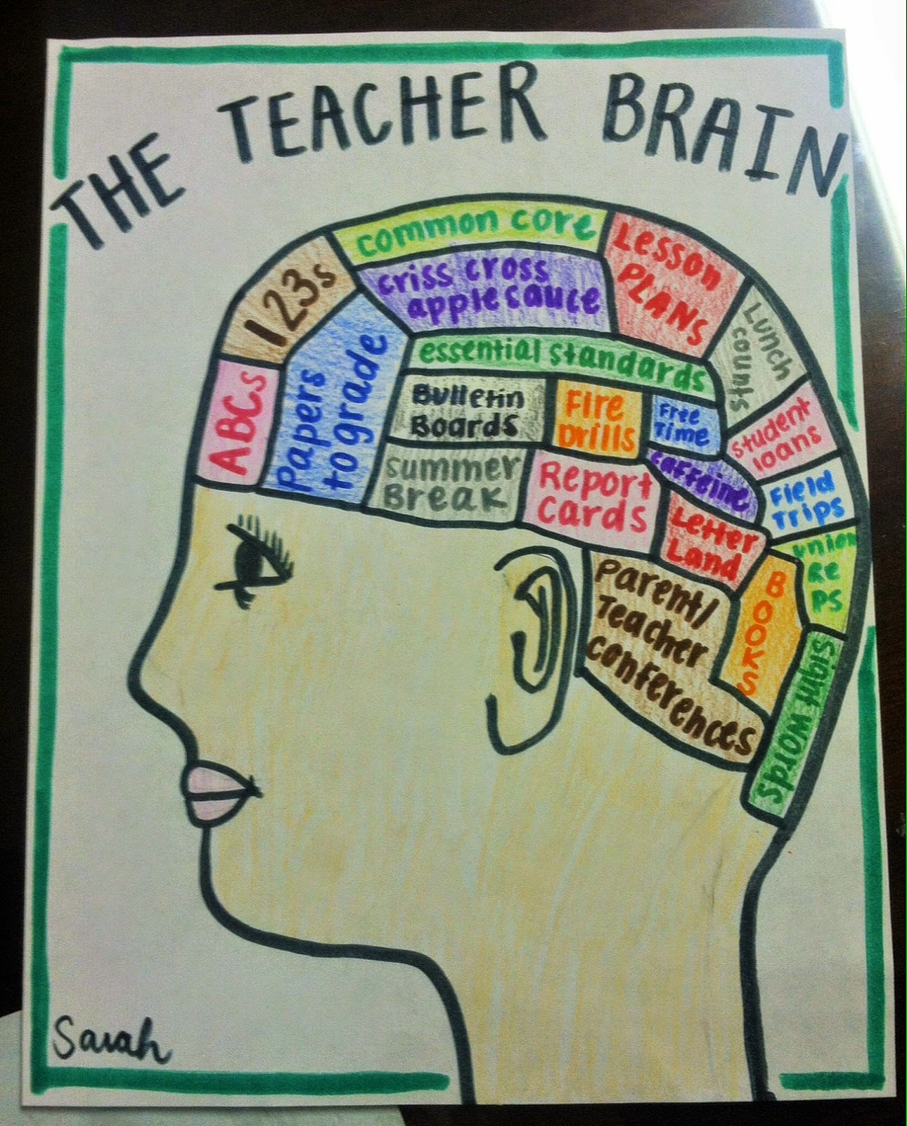 Owl About Sarah's Creations: The Teacher Brain by Sarah