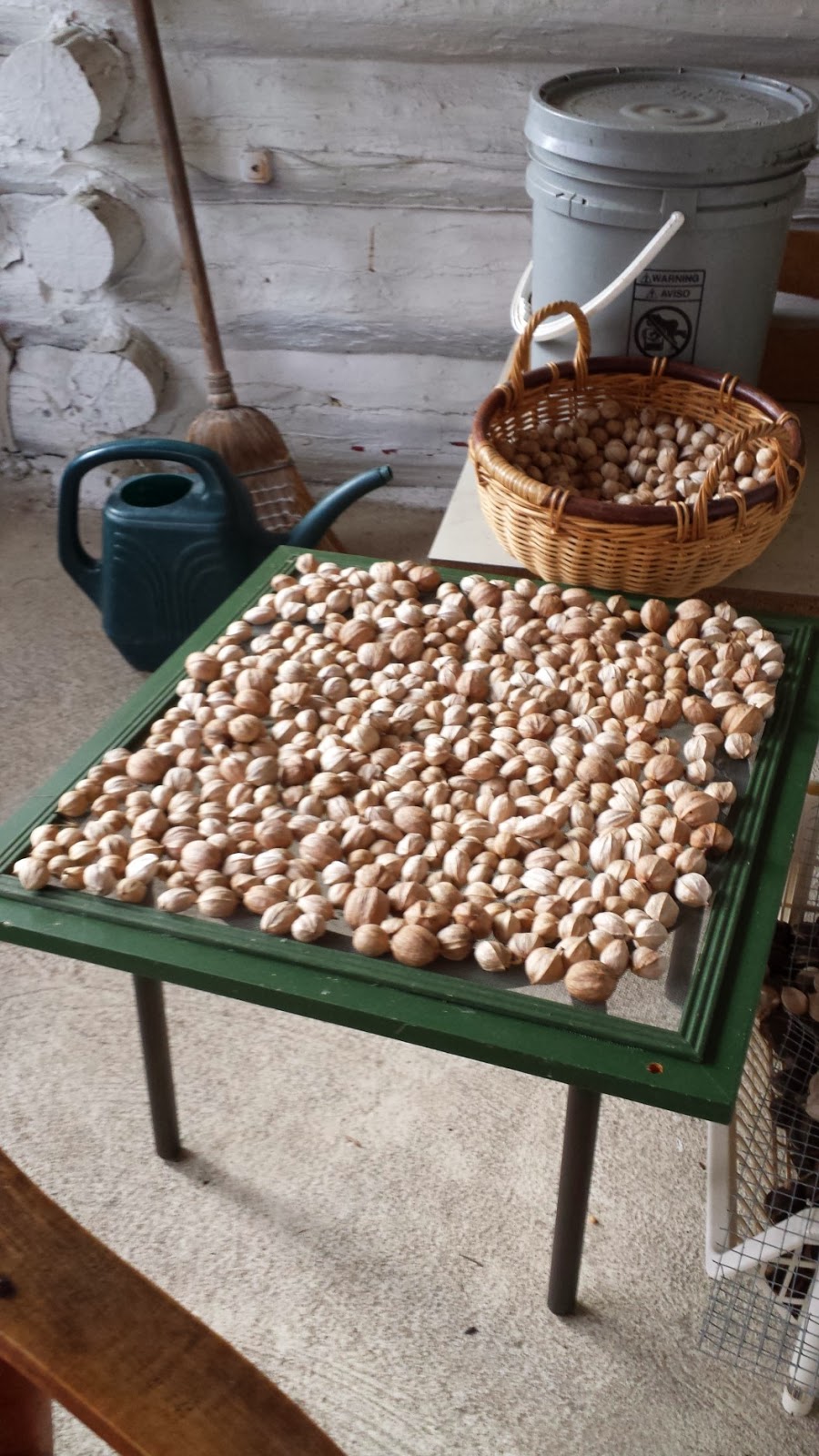 Divinebunbun's Rugged Rural Missouri: Sweet and Fatty