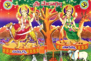 My Journey To Holy Shrines: Medaram – Sammakka Saralamma Jatara