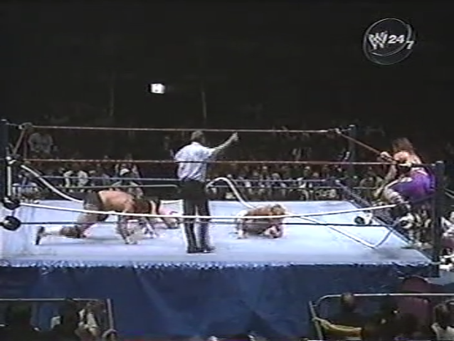 ProWresBlog: WWF Madison Square Garden 12/28/1990 - The Rockers vs ...