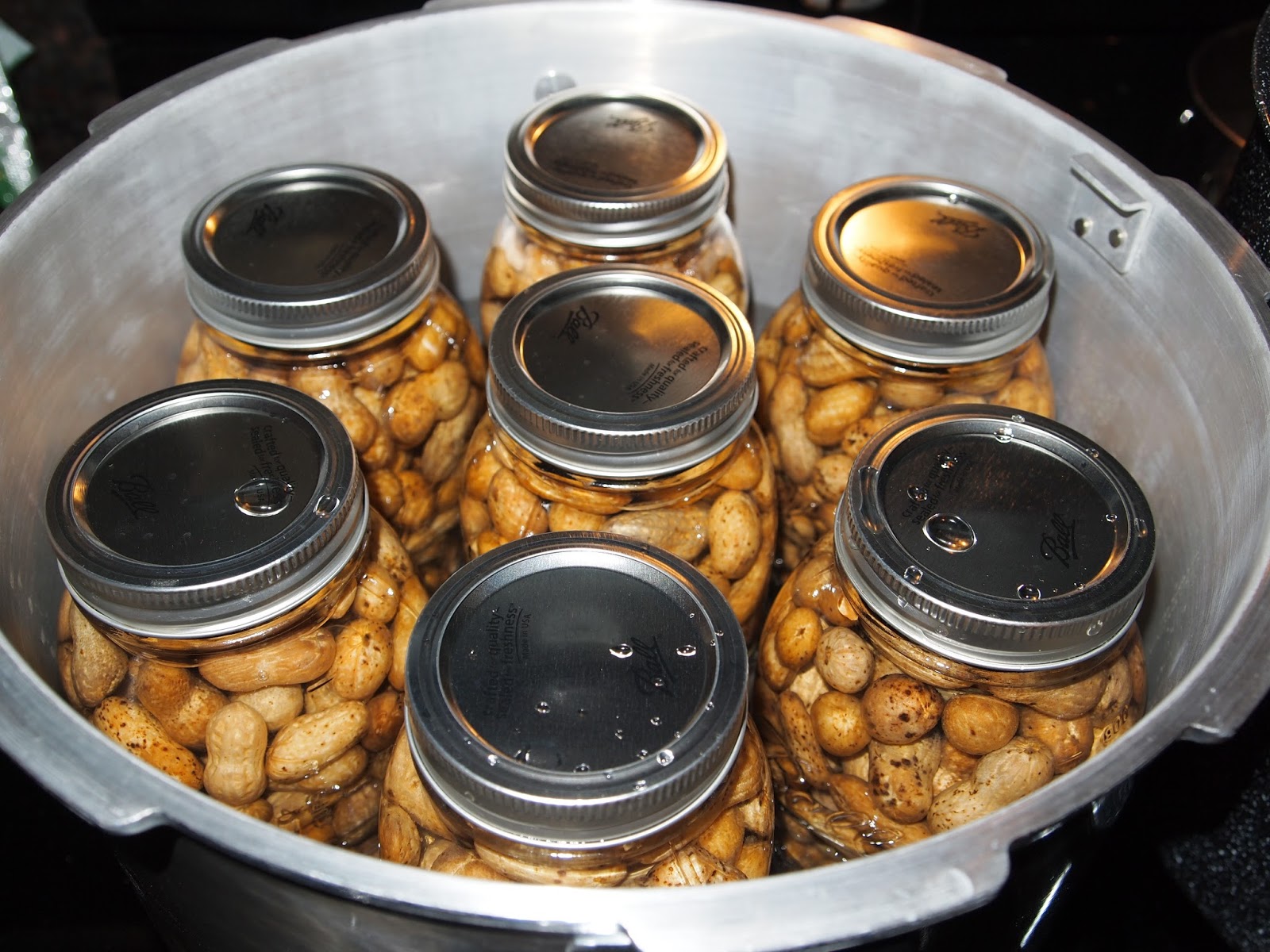 I Am Within: Boiled Peanuts