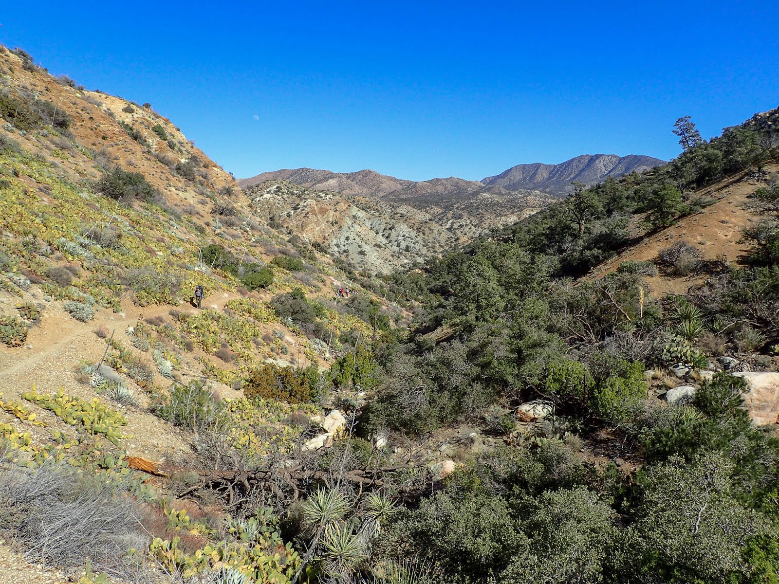 Sheep and Martinez Backpack Santa Rosa Wilderness - First Church of The ...