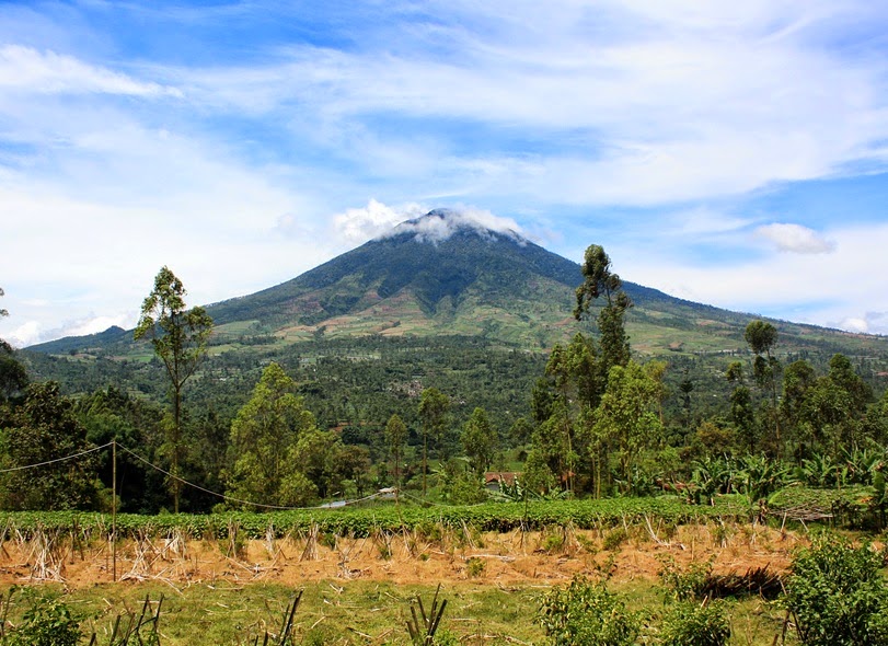 Mendaki Gunung Cikuray si Kerucut Raksasa - Jelajah Nusantara