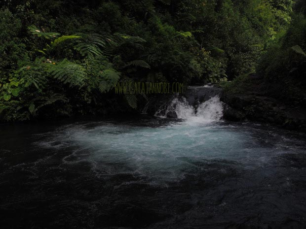 Air Terjun Telunjuk Raung, Banyuwangi - Kesejukan Alami Di Lereng ...