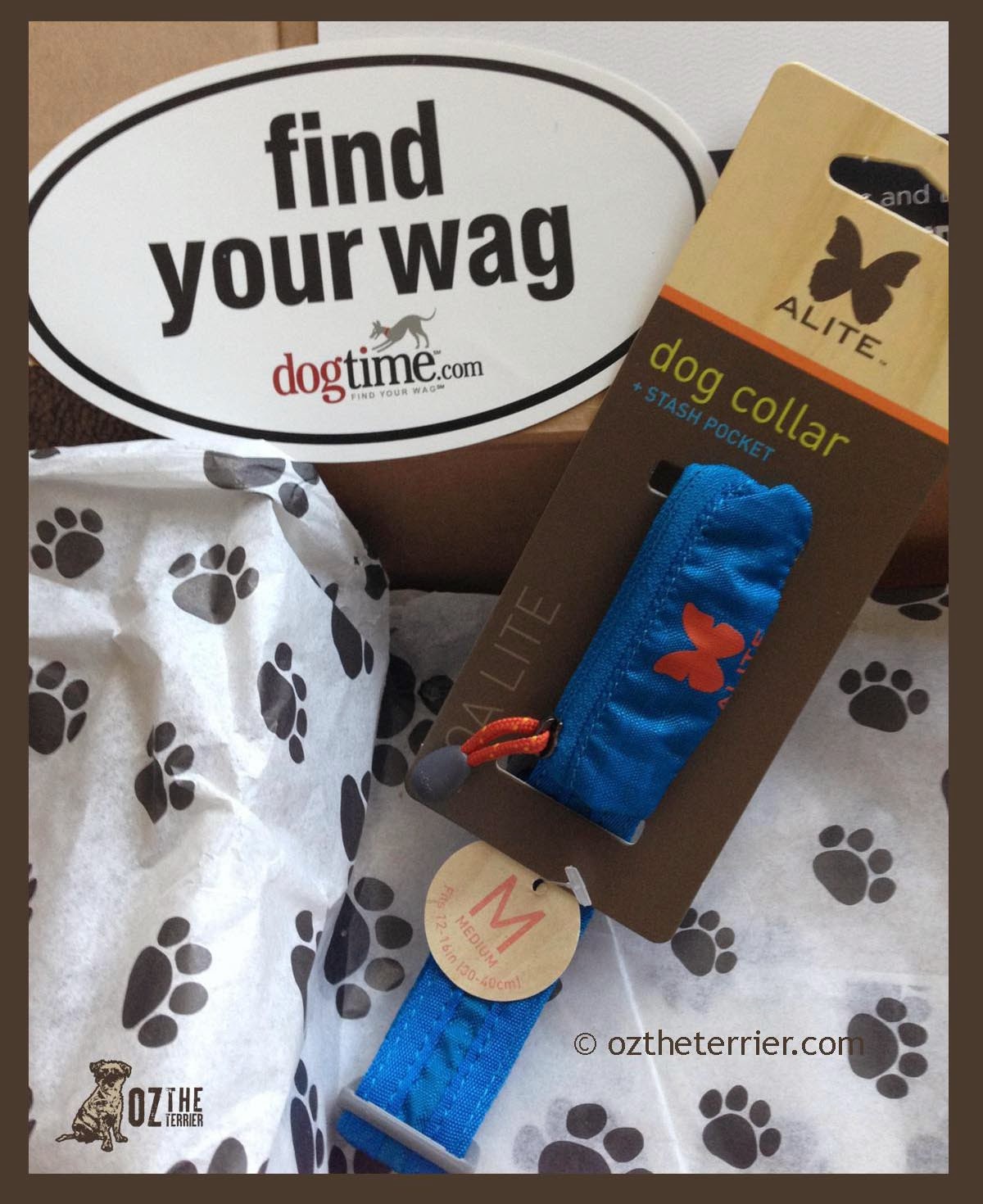 More Swag from Wag Pac | Oz the Terrier - Lifestyle Dog Blog