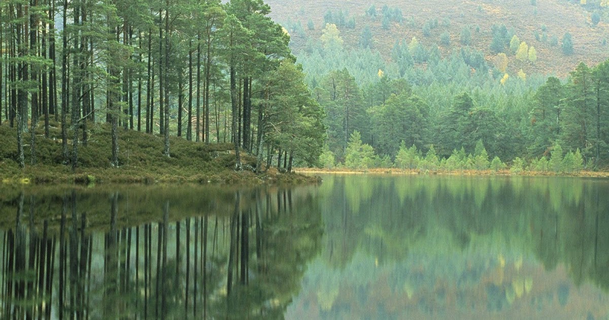79+ Gambar Pemandangan Alam Yang Sejuk