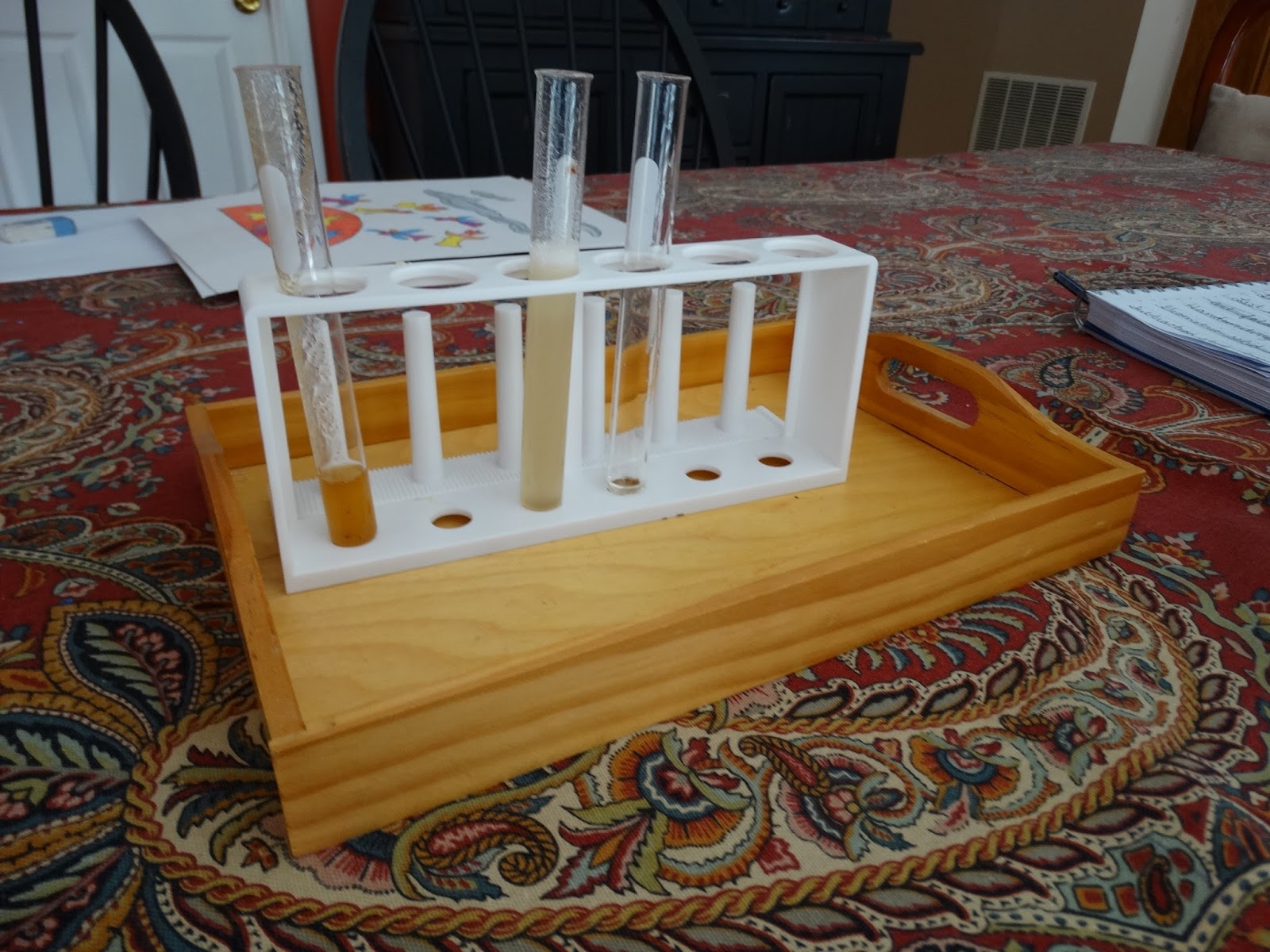 The Joys of Montessori Homeschooling: Great Lesson #1 - God with No Hands