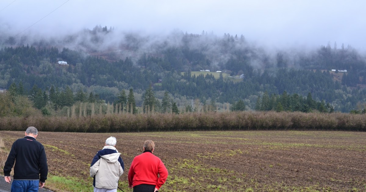 Simple Images: Alternating rhythm