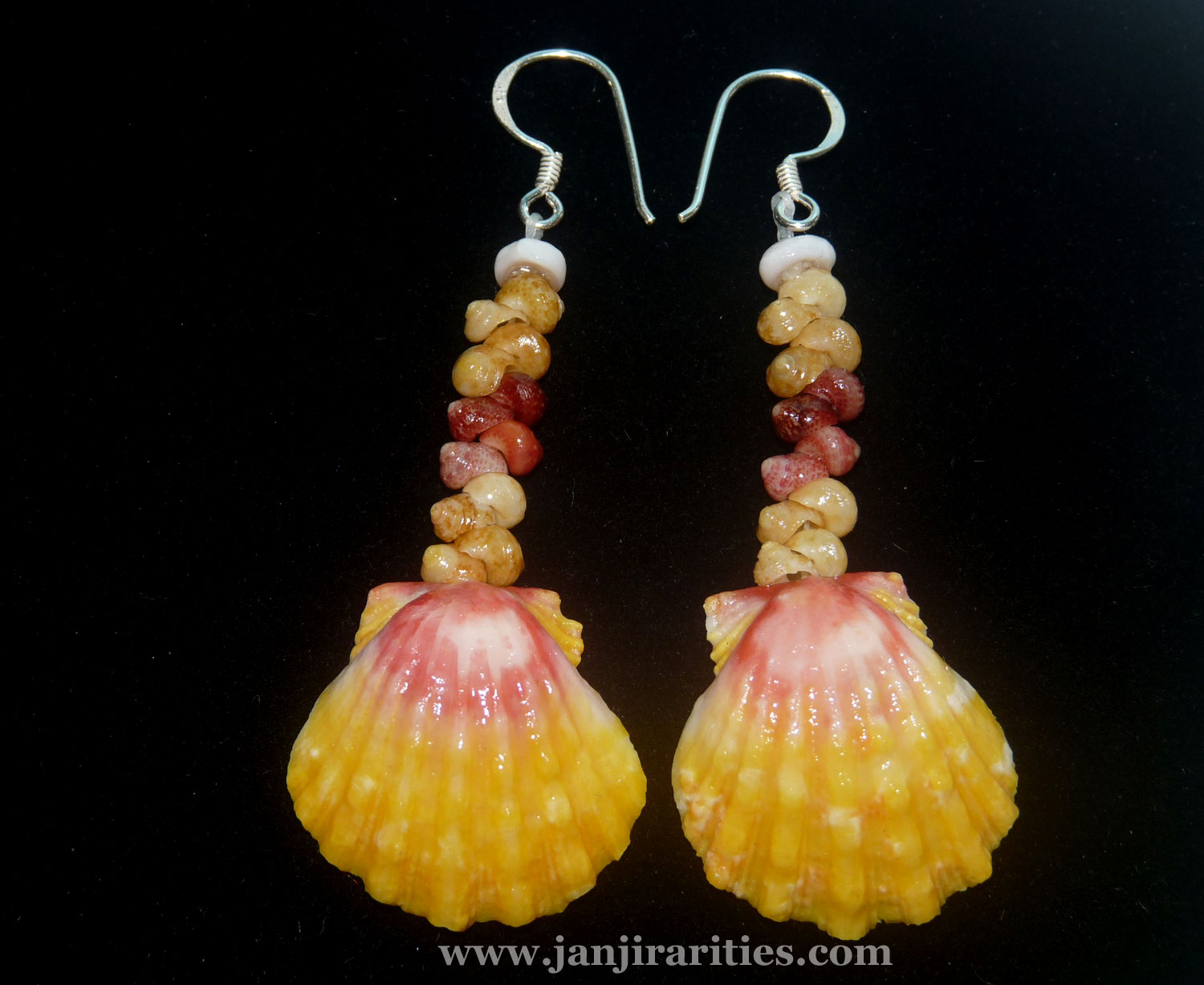 Kahelelani & Sunrise shell jewelry by.... Janjira: Sunrise shell earrings