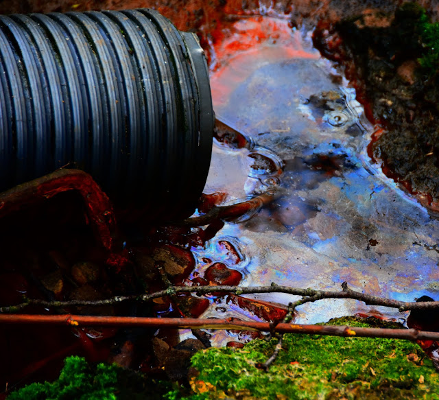 INSIGHT INTO POLLUTION BY FABRICE MONTEIRO - Chloe Simpson