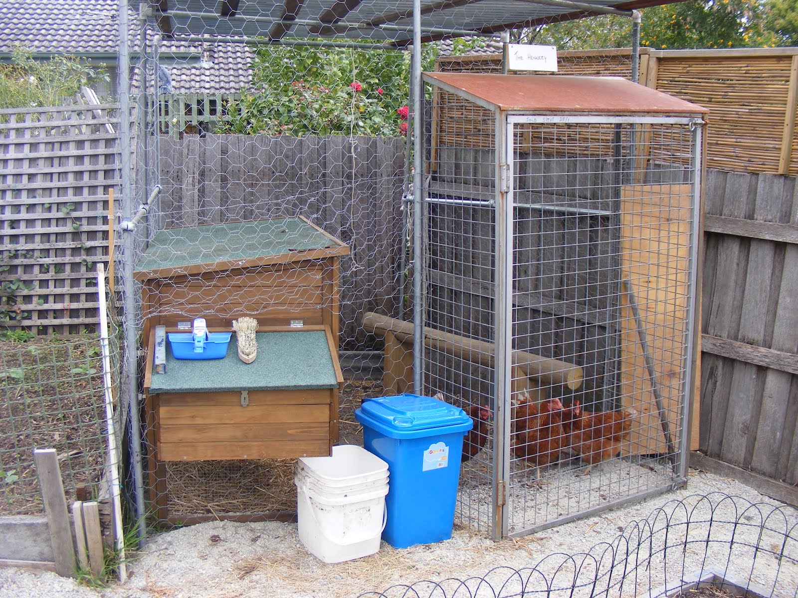 Backyard Self-Sufficiency: 13. All Things Chooky (or How to Build a ...