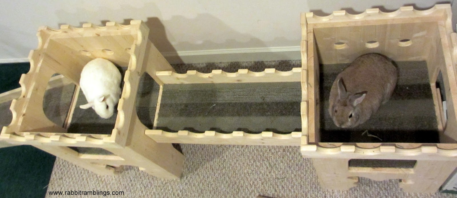 Rabbit Ramblings: One day in the bunny castle