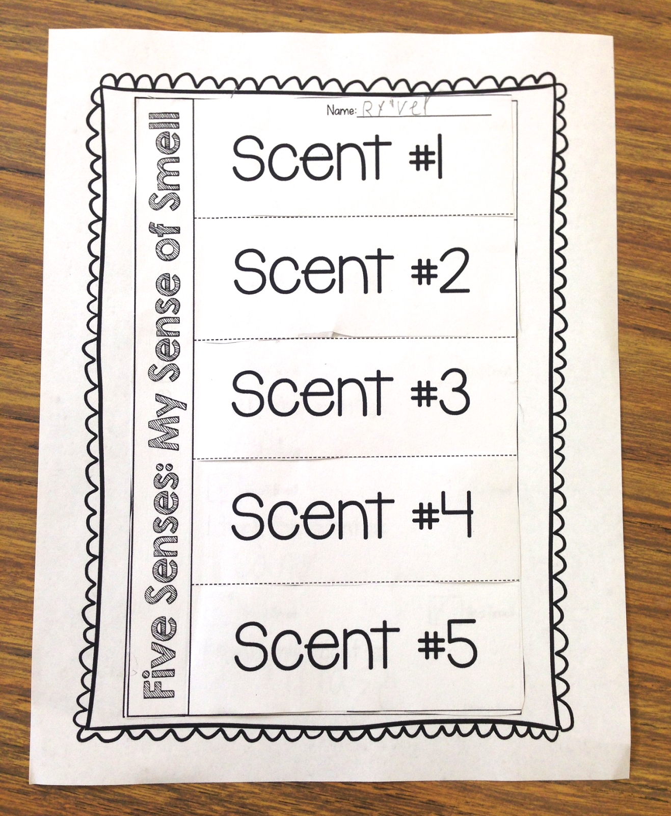 The Creative Colorful Classroom: My Five Senses Interactive Science Book