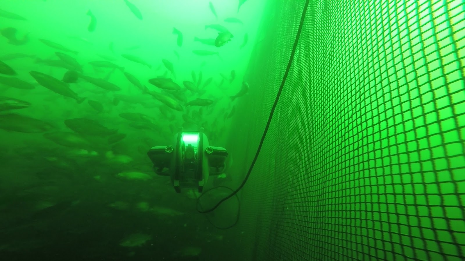 The Aquaculturists: 04/09/2017: Catastrophic infrastructure failure ...