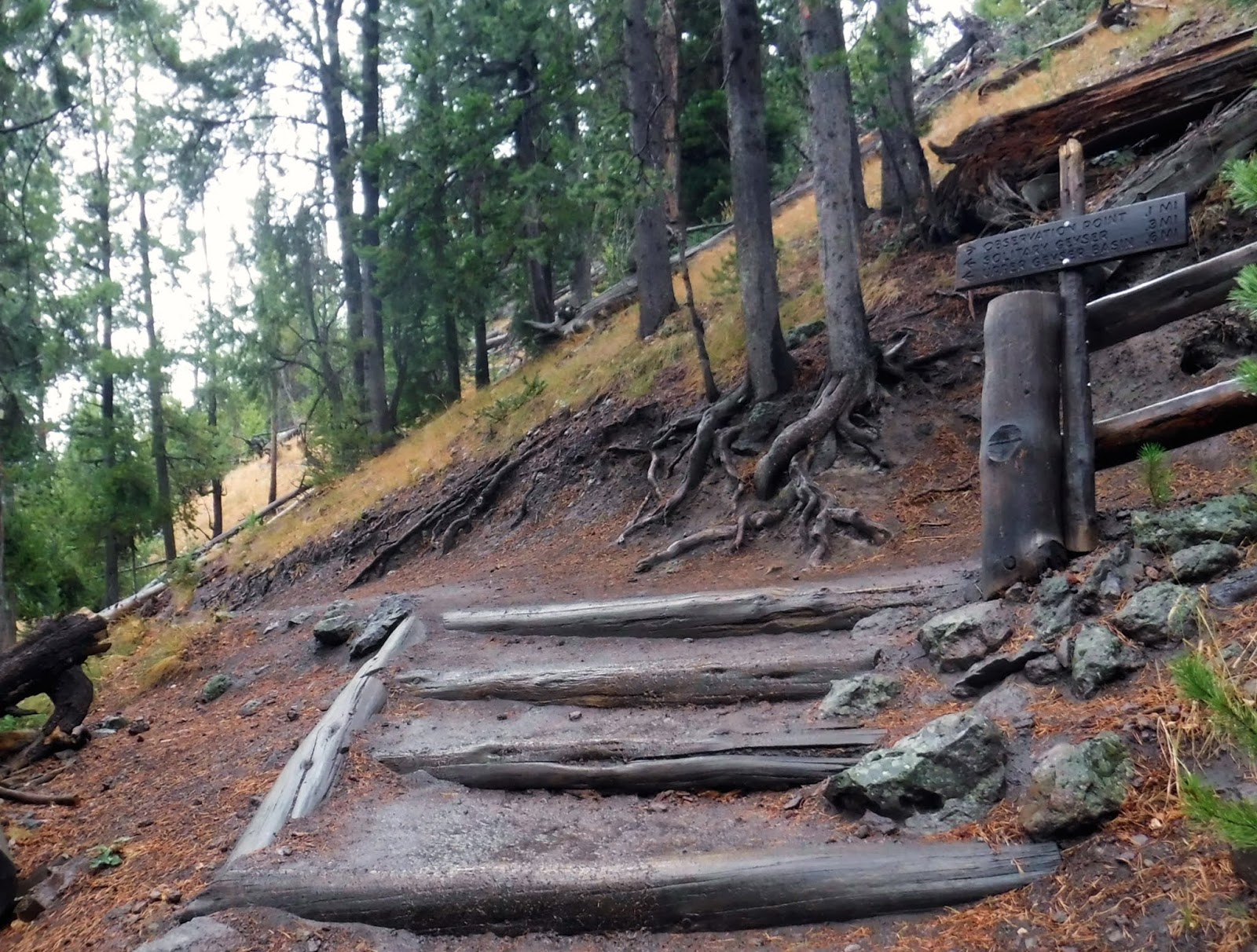 Focusing On Travel : Yellowstone: A Geyser Gazers Guide to the Upper ...