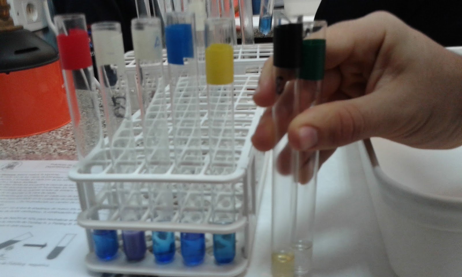 Practica sobre el reactivo de Fehling y reconocimiento de glúcidos ...