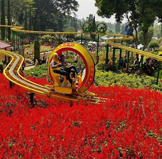 Tempat Wisata Selecta Malang, Kebun Bunga Yang Menawan