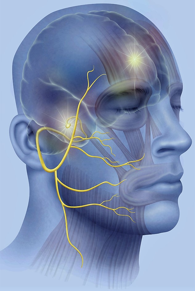 EMS SOLUTIONS INTERNATIONAL by @DrRamonReyesMD marca registrada ...
