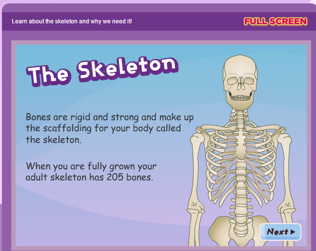 PROYECTO BILINGUE CBM: The Skeleton Game