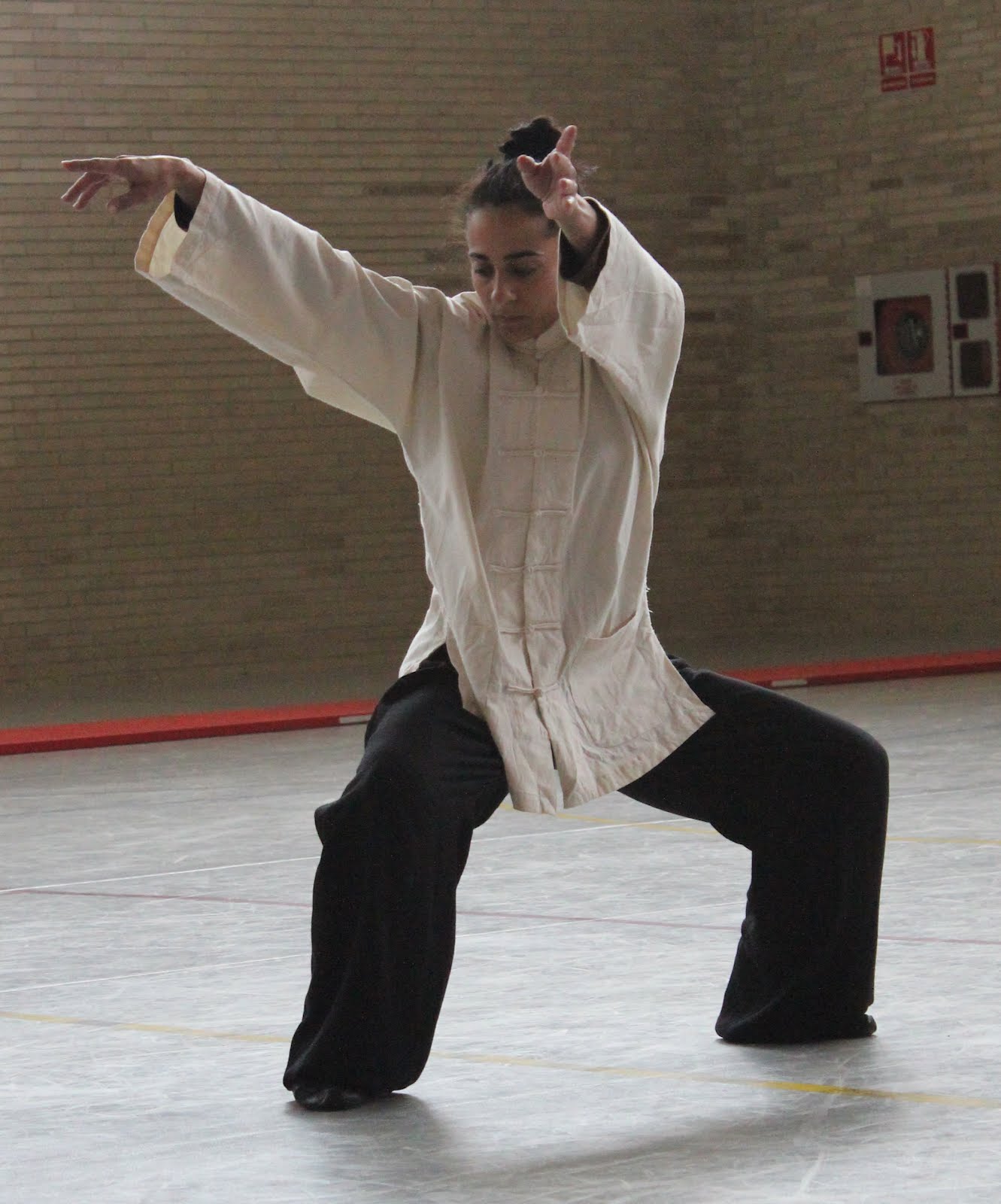 Taichi Iruña-pamplona