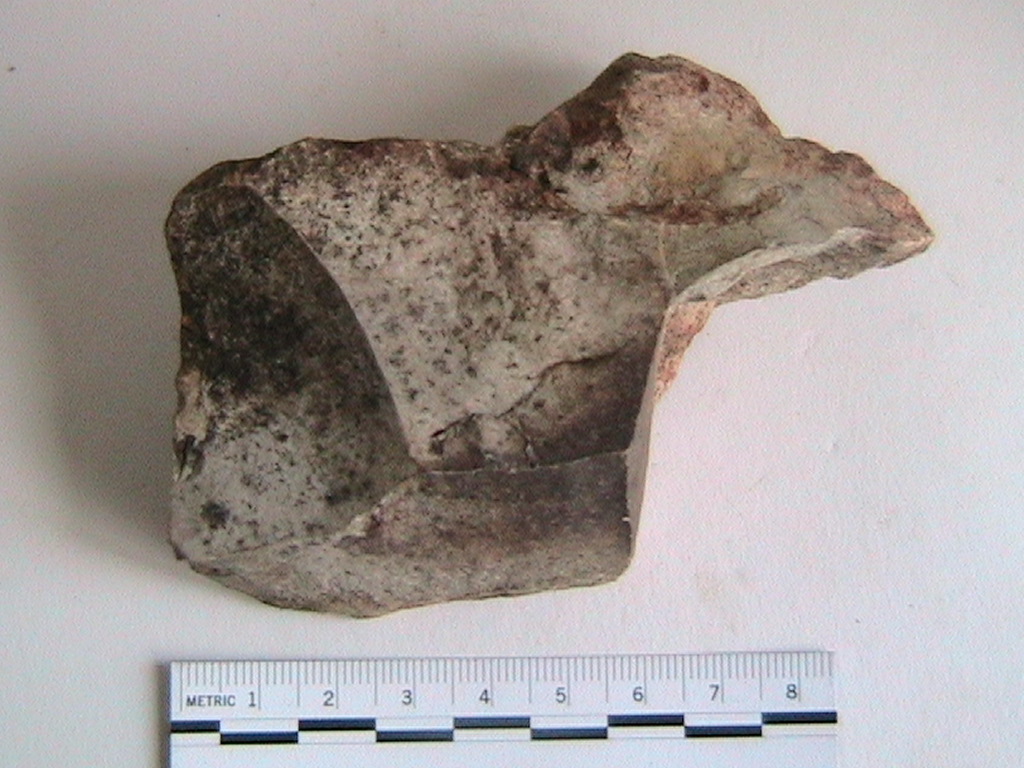 Archaeology of Portable Rock Art: "Old Route 66 zoo" site's bird ...