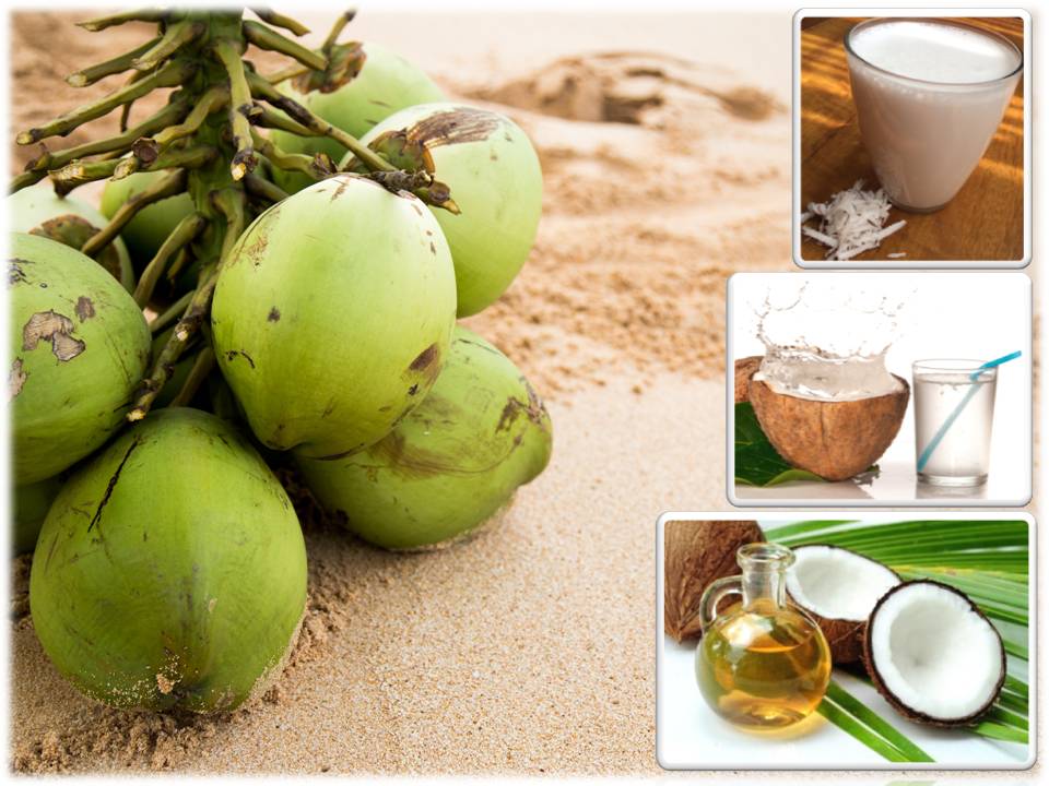 AROMATERAPIA, SALUD Y MAGIA: COCO: LA FRUTA QUE REDUCE LAS GRASAS DE TU ...