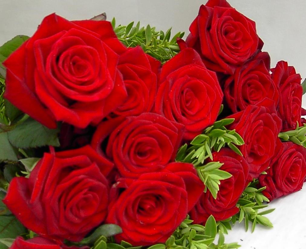 Rose Del G: Lindas rosas